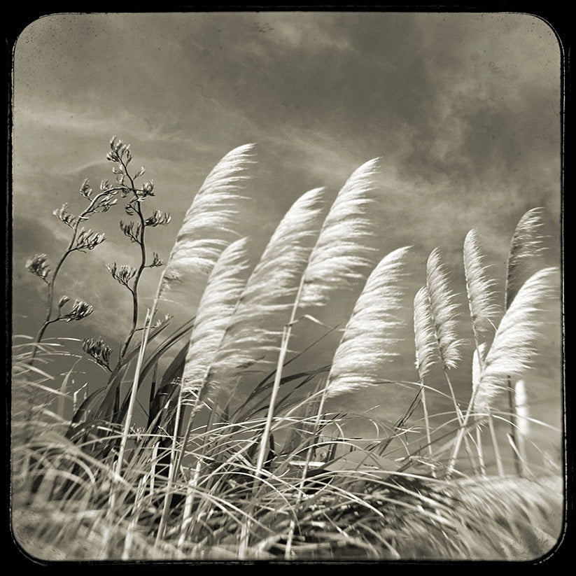 Fine Art Photography Prints | Stuart Mackenzie | Waikato, New Zealand ...